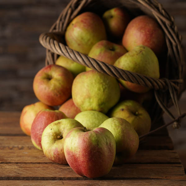 Natyra Apfel vom Obsthof Lefers kaufen | MeinMarktstand Nordwest