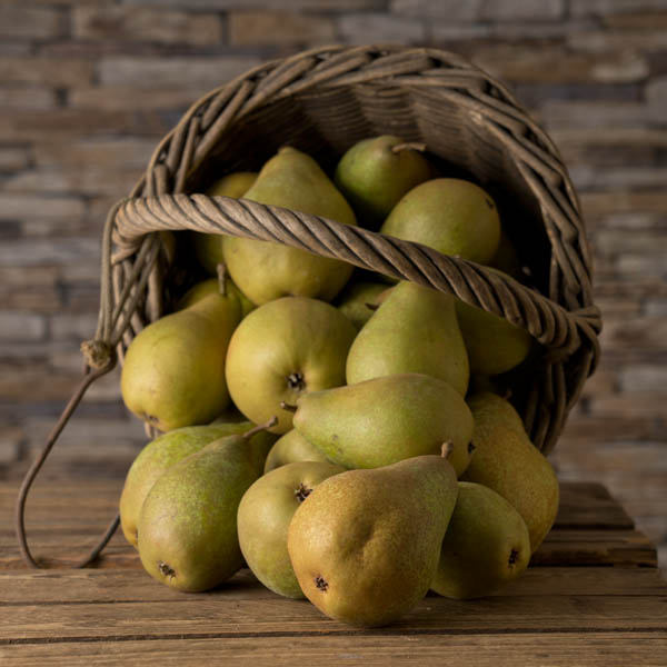 Xenia Birne vom Obsthof Lefers | MeinMarktstand Nordwest